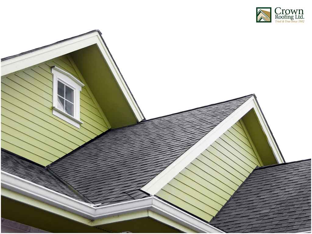 Mold vs. Algae: Which Is Worse for Your Roof?