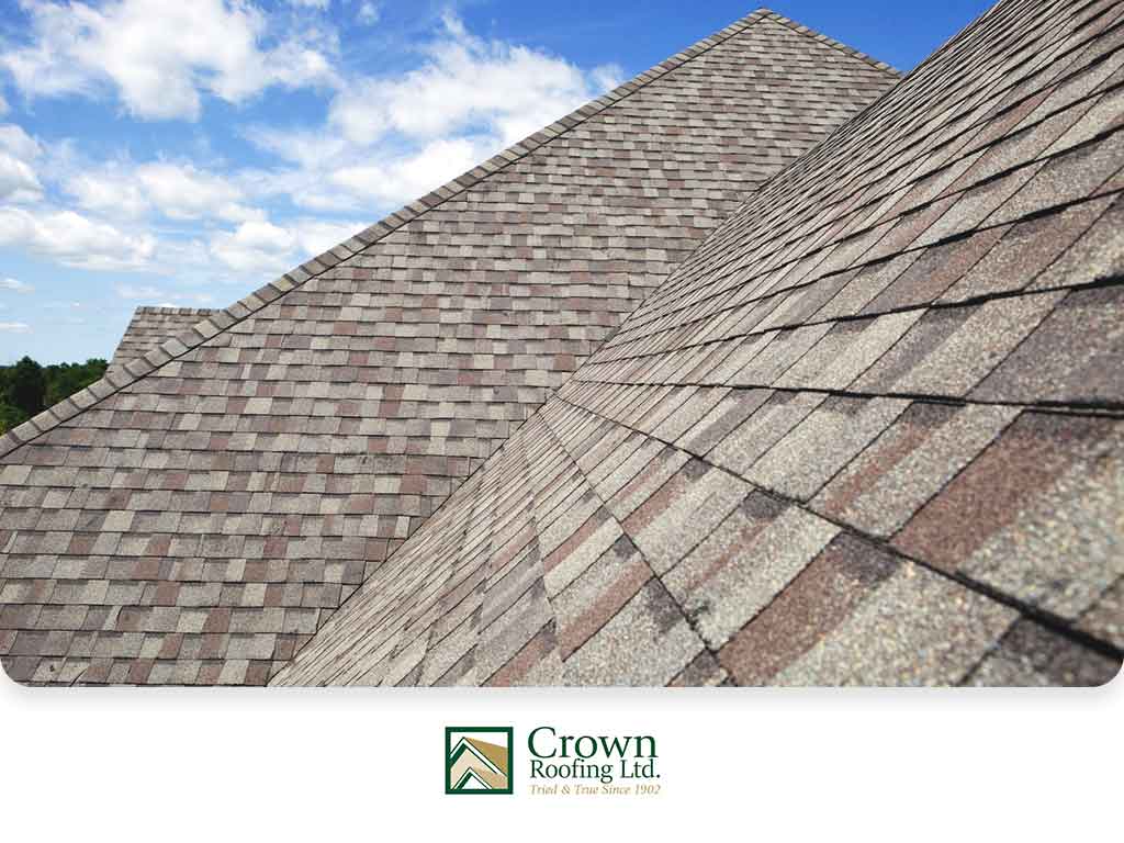 Causes of Shingle Cupping and Its Solution